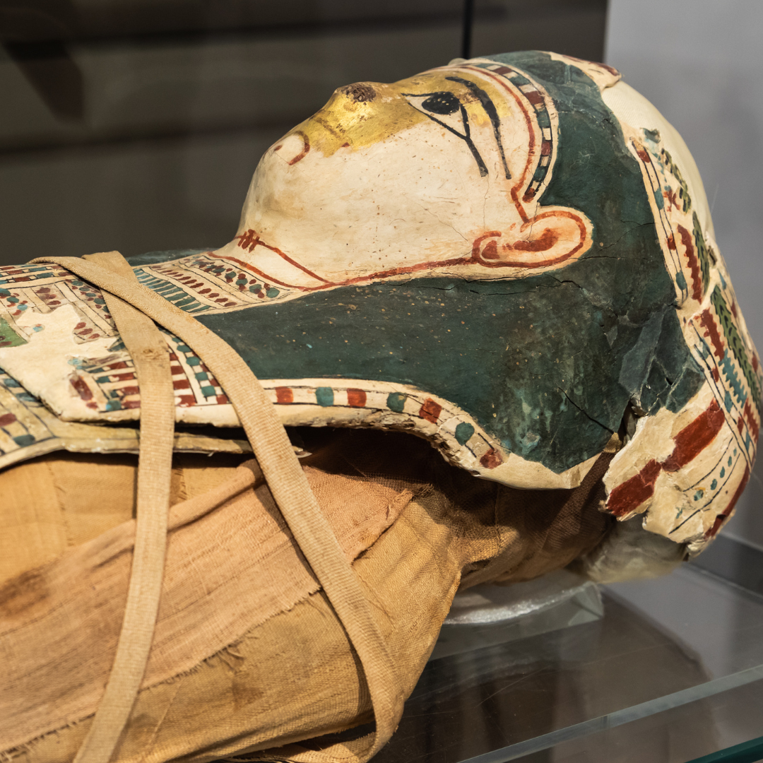Secrets of the Egyptian Mummies - Classical Education Forum